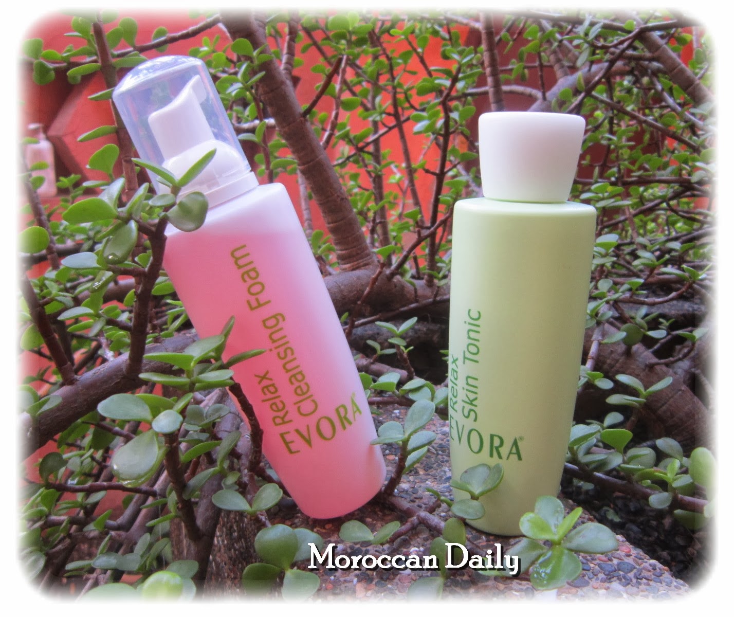 Moroccan Daily : Revue : Relax Cleansing Foam et Skin tonic de chez ...