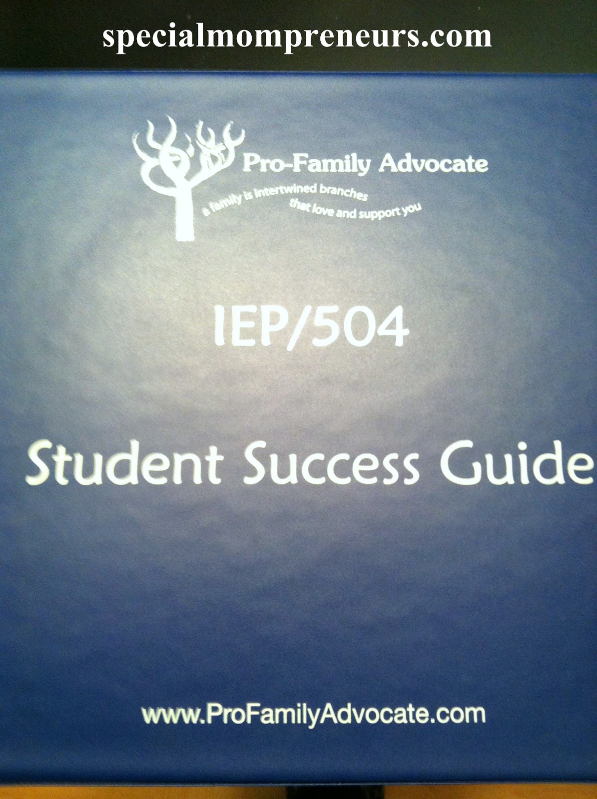 Musings from a Special Needs Mom