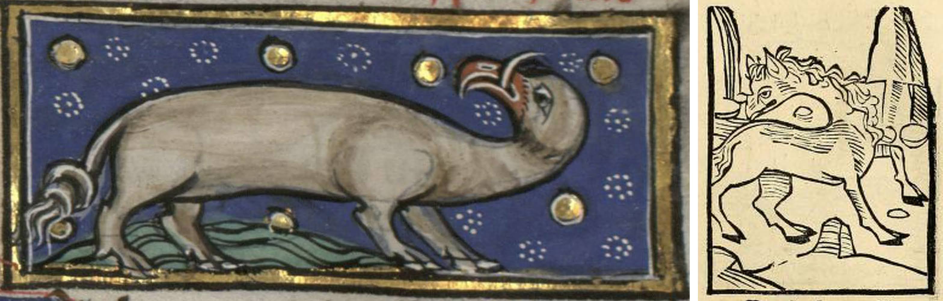 Black and White: Guess that Medieval Beast 7