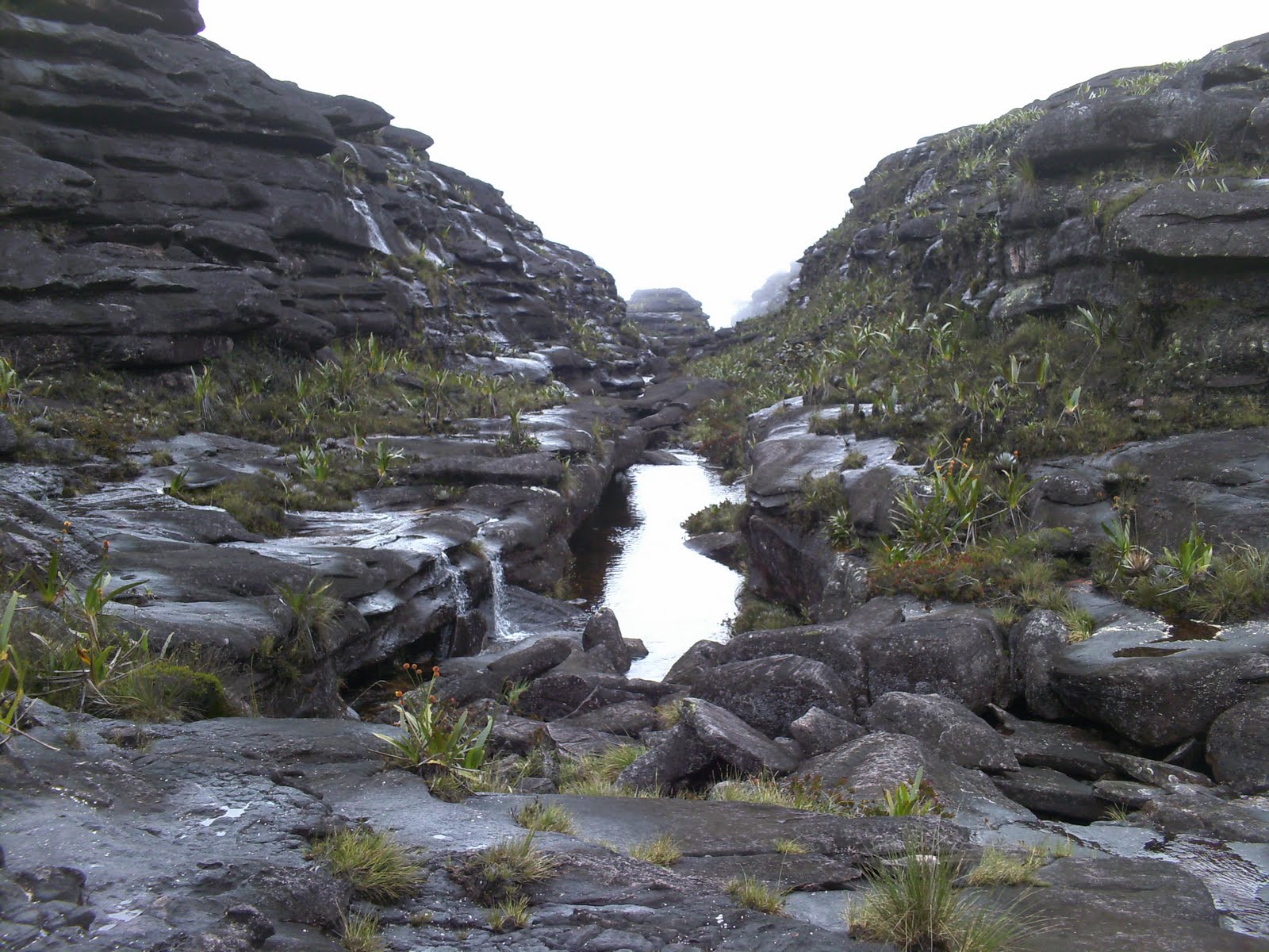 South America and Cuba: Monte Roraima: Exploring the Tepuy