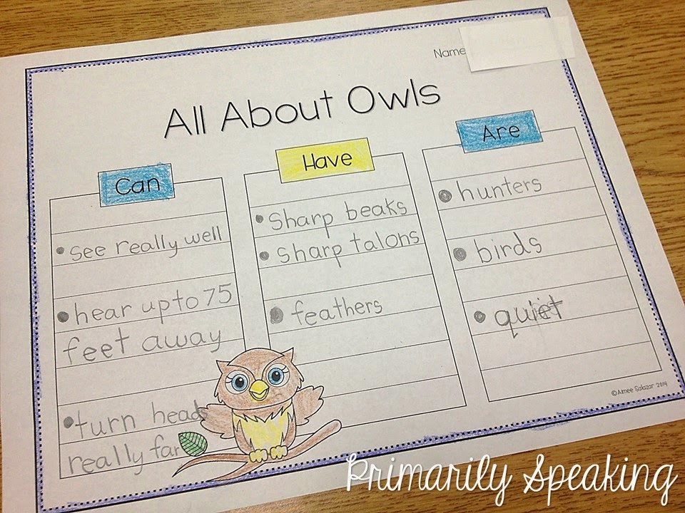 An Owl-tastic Unit of Study! | Primarily Speaking