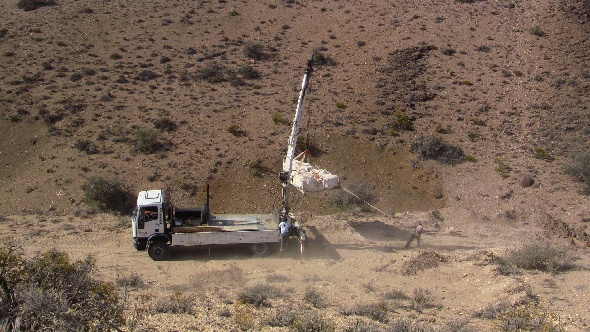 Species New to Science: [Paleontology • 2020] Bagualia alba ...