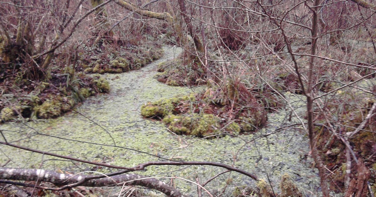 Martinou et Pirouly: Le Nombril de Ganesh par Thierry RAINOT - Chapitre ...
