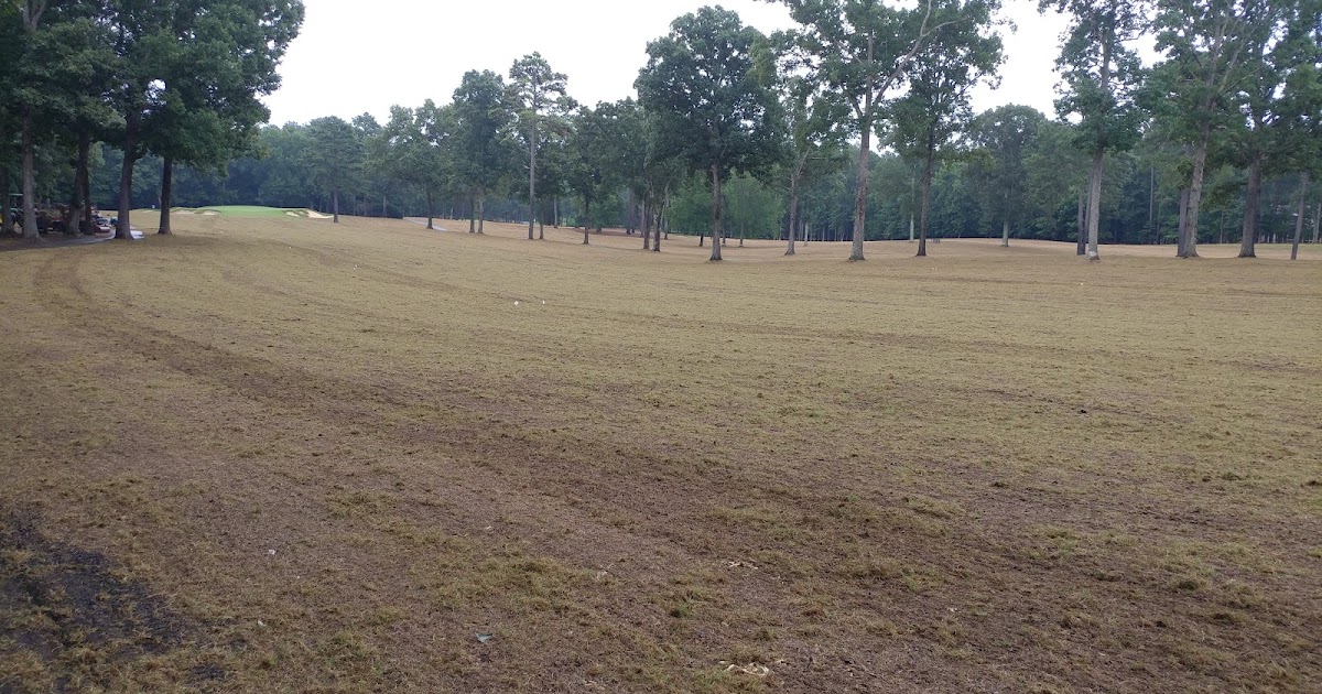 Sprigging is complete!