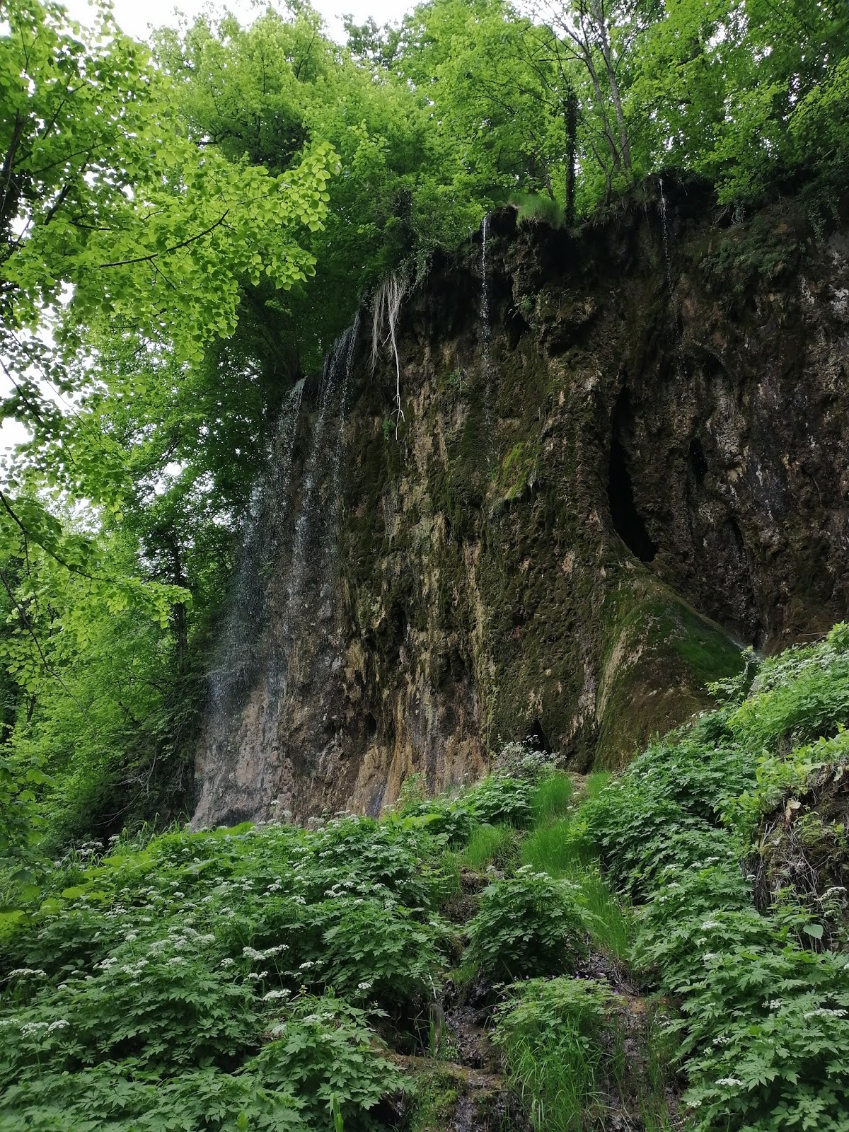 Park prirode Papuk, izletište Jankovac | Maja Poljarević