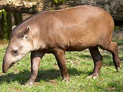 777 From Heaven!: A ANTA.