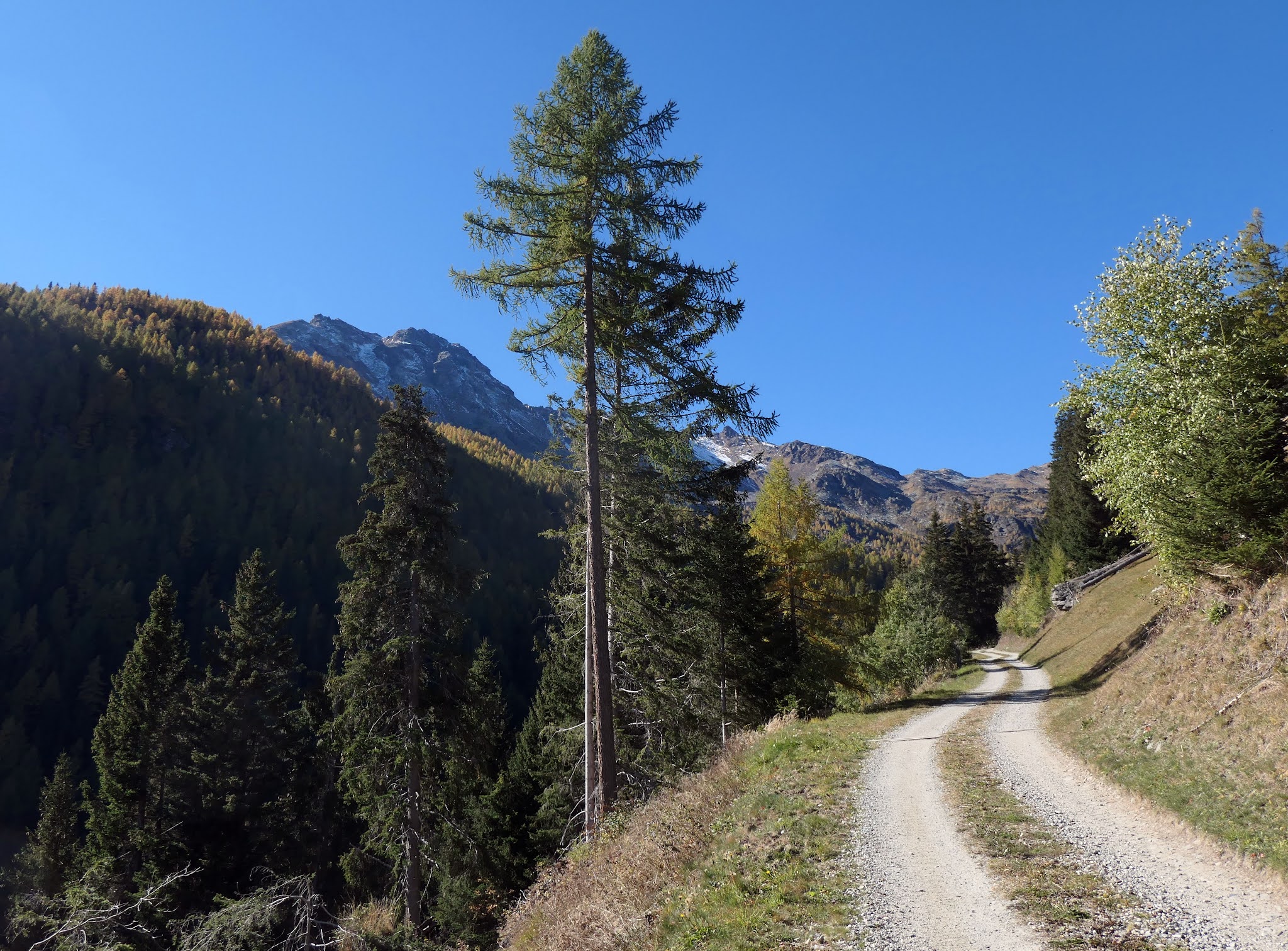 Sentiero Panoramico Val Poschiavo