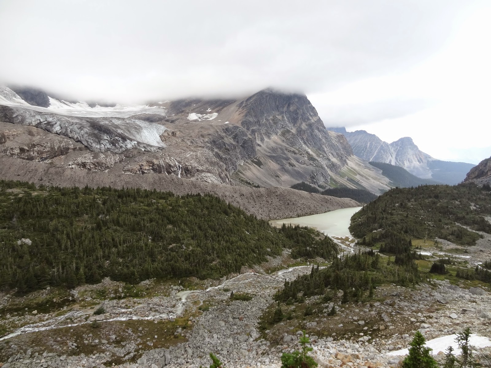 Alison Sekera's Blog