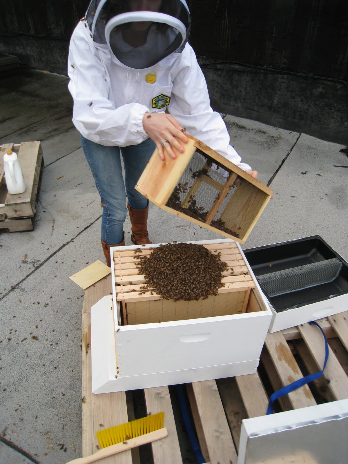 BoroughBees: May 2011