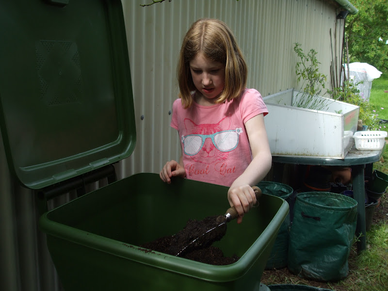 The Compost Bin: Hungry Bin review (1) - putting it together and ...