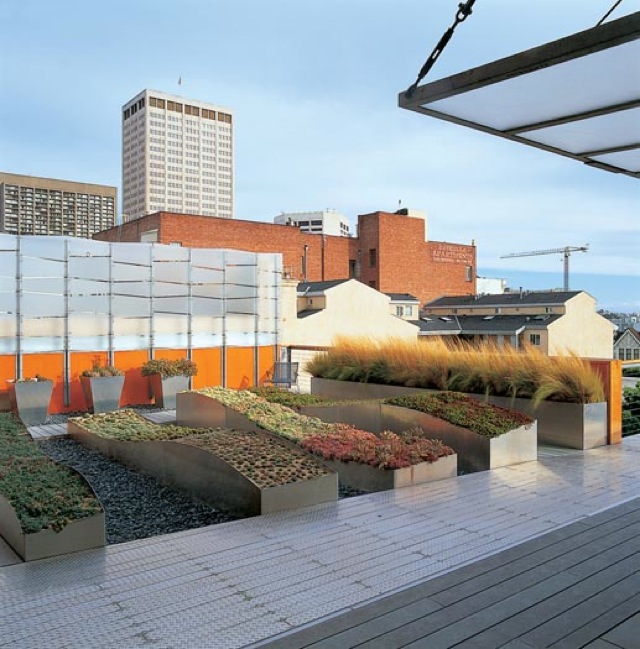 Pink Sheep: Andrea Cochran Landscape Architecture