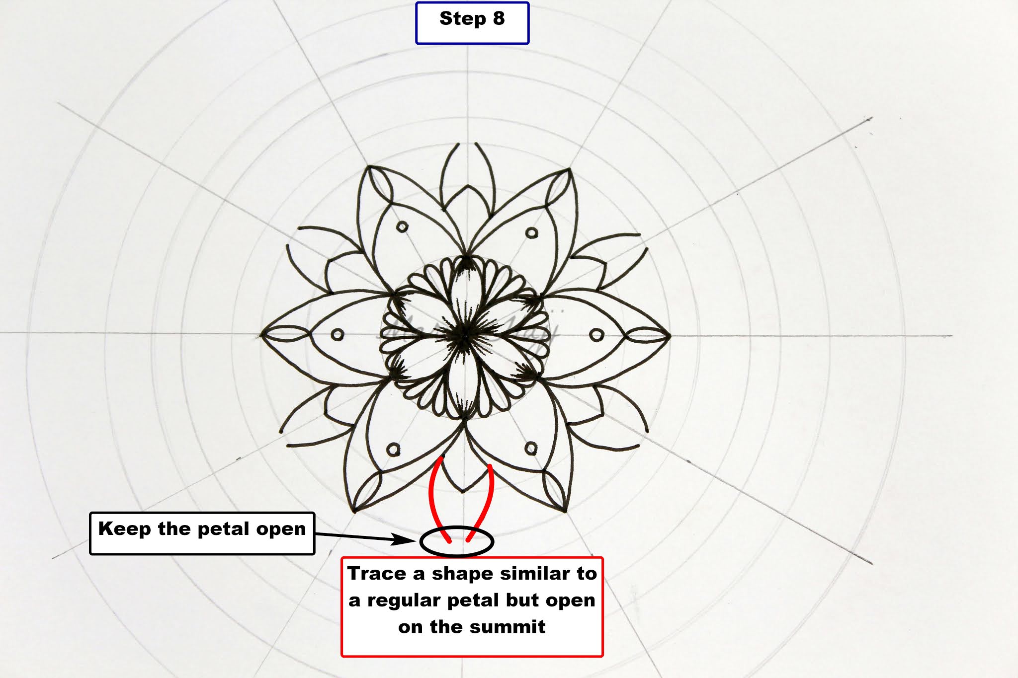 Mandala Art/ Illustrated easy step by step drawing/ Creative Mandala #2
