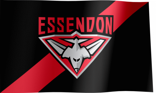 Essendon Football Club Flag GIF - All Waving Flags