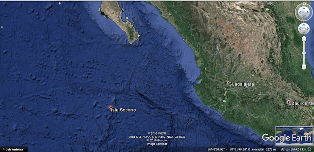 Biodiversidad de "El Bajío Profundo": ISLA CLARIÓN, ARCHIPIELAGO DE ...