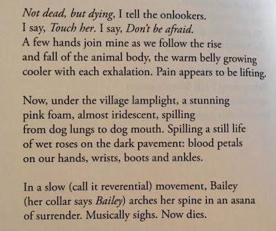 Galatea Resurrects 2018 (A Poetry Engagement): INVISIBLE FISH by SUSAN ...