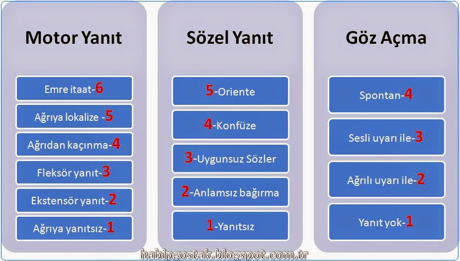 Glaskow Koma Skalası (GKS)