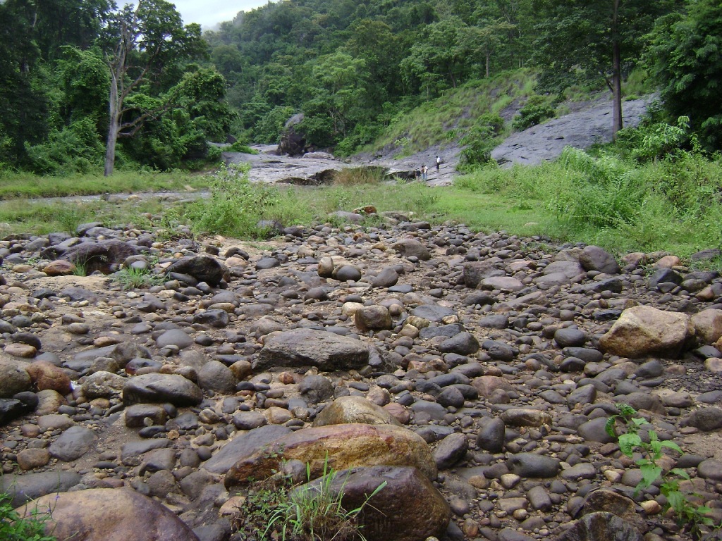 Tamilnadu Tourism: Kalikesam Forest & Waterfalls – Kalikesam Falls