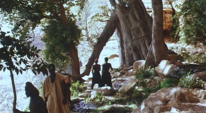 Film Walrus Reviews: Film Atlas (Mali): Brightness