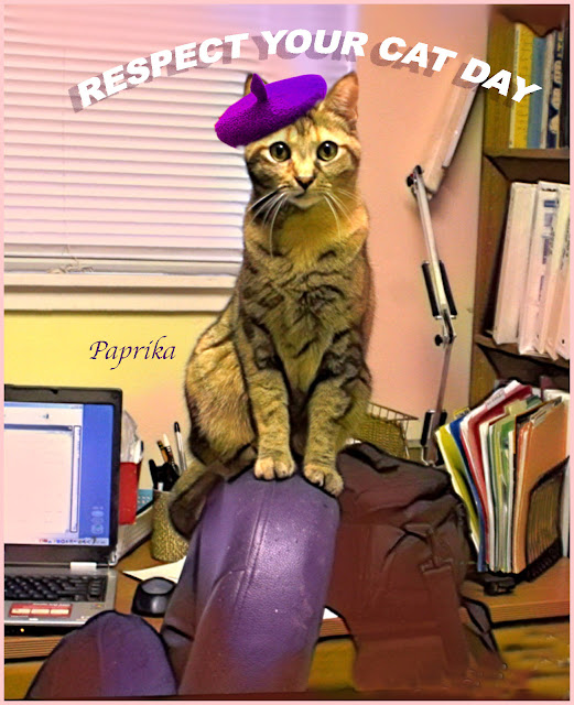 Peaches and Paprika: 7 Ways to Respect Your Cat today!