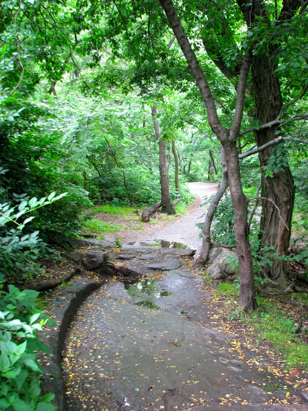 Faithfully Fit: ....straight path, curvy path....