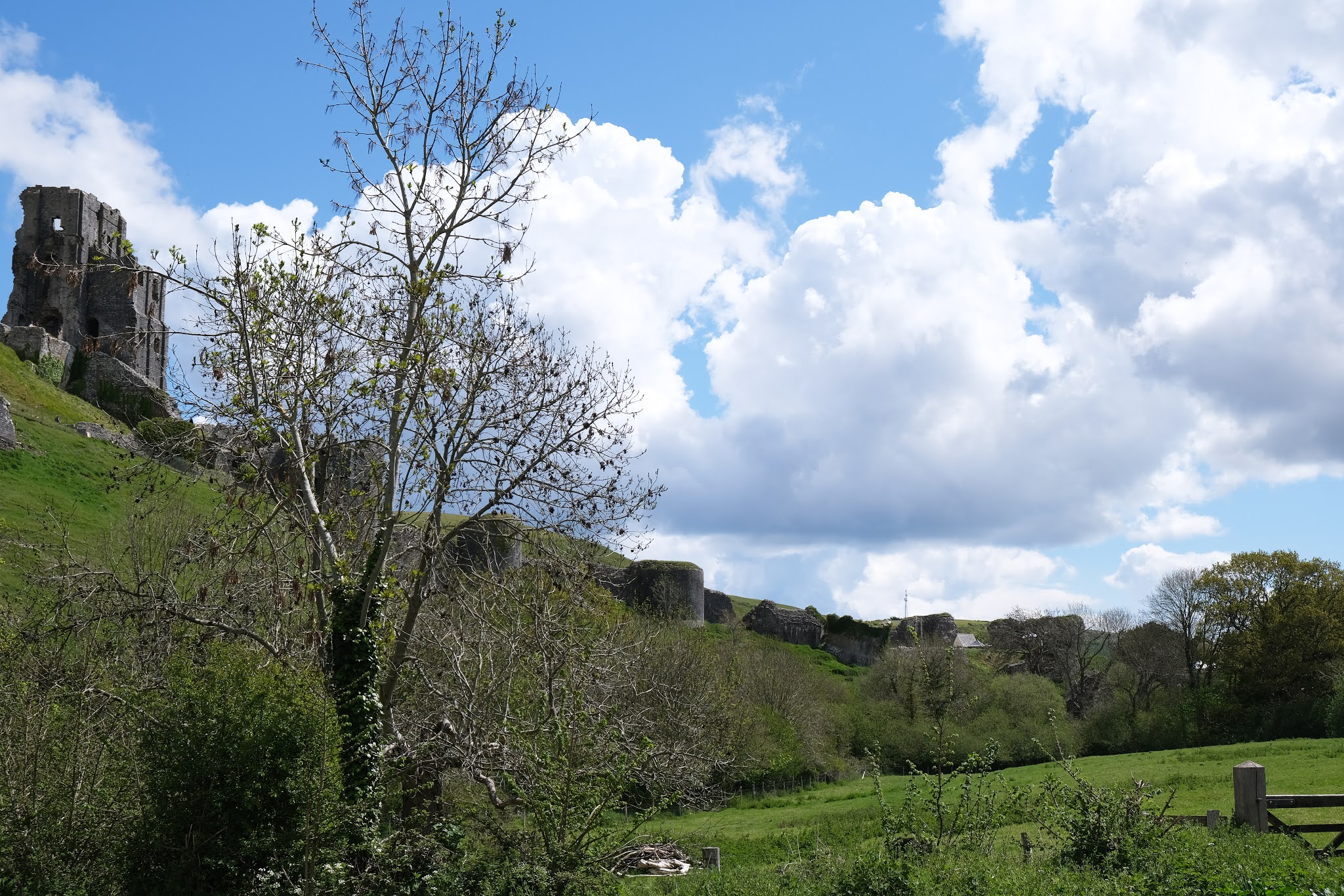 Walking in the country: Corfe Castle and Church Knowle