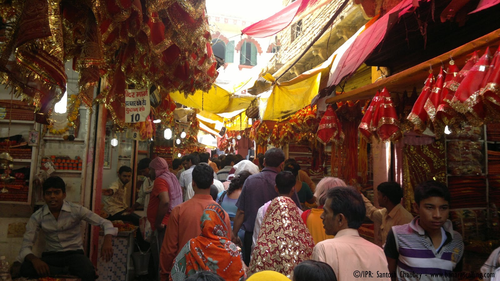 Vindhyachal - JungleKey.in Image