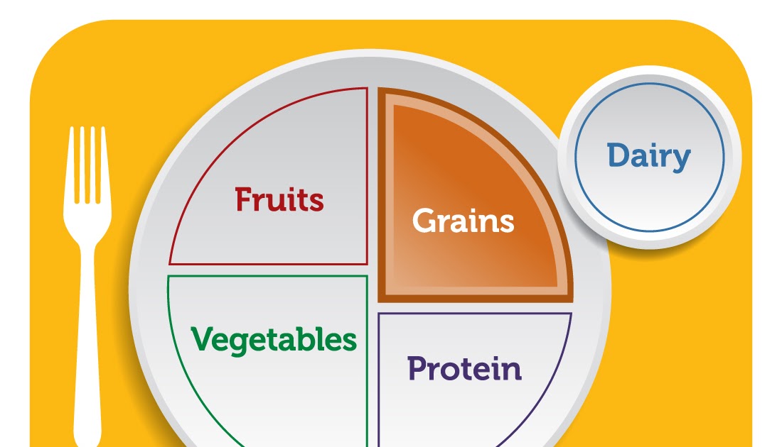 Color Your Plate Program: full version free software download - managermlm