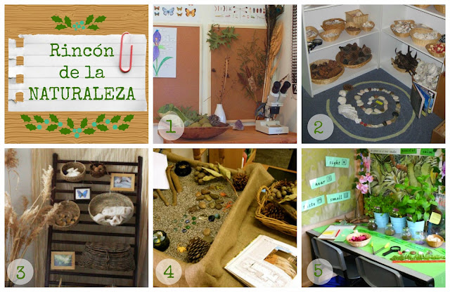 Recursos: Actividades y materiales sobre la Naturaleza para la Escuela ...