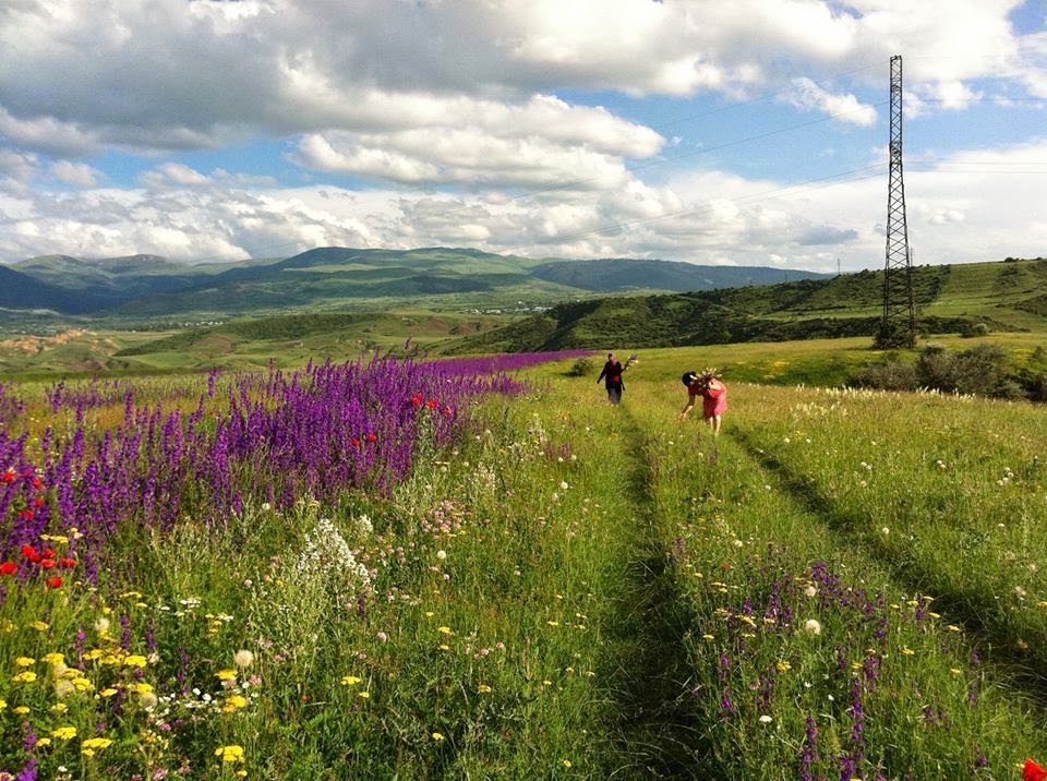 GEORGIA & SOUTH CAUCASUS: WiP: Uncertain Returns: Meskhetian and Ahiska ...