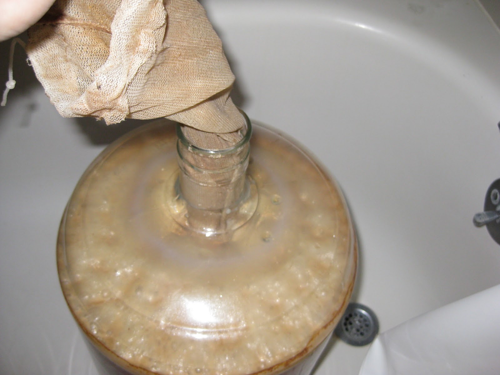 Beer Blog: Dry Hopping: German Hefeweizen (Blueberry Banana)