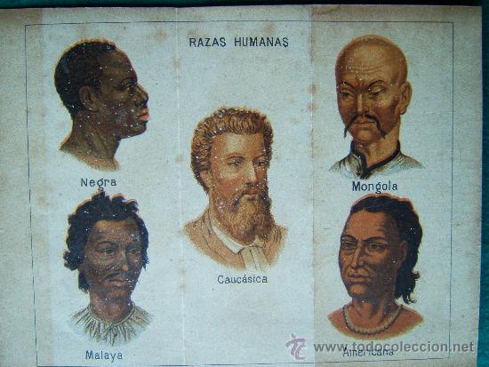 Las cinco razas humanas según Blumenbach.