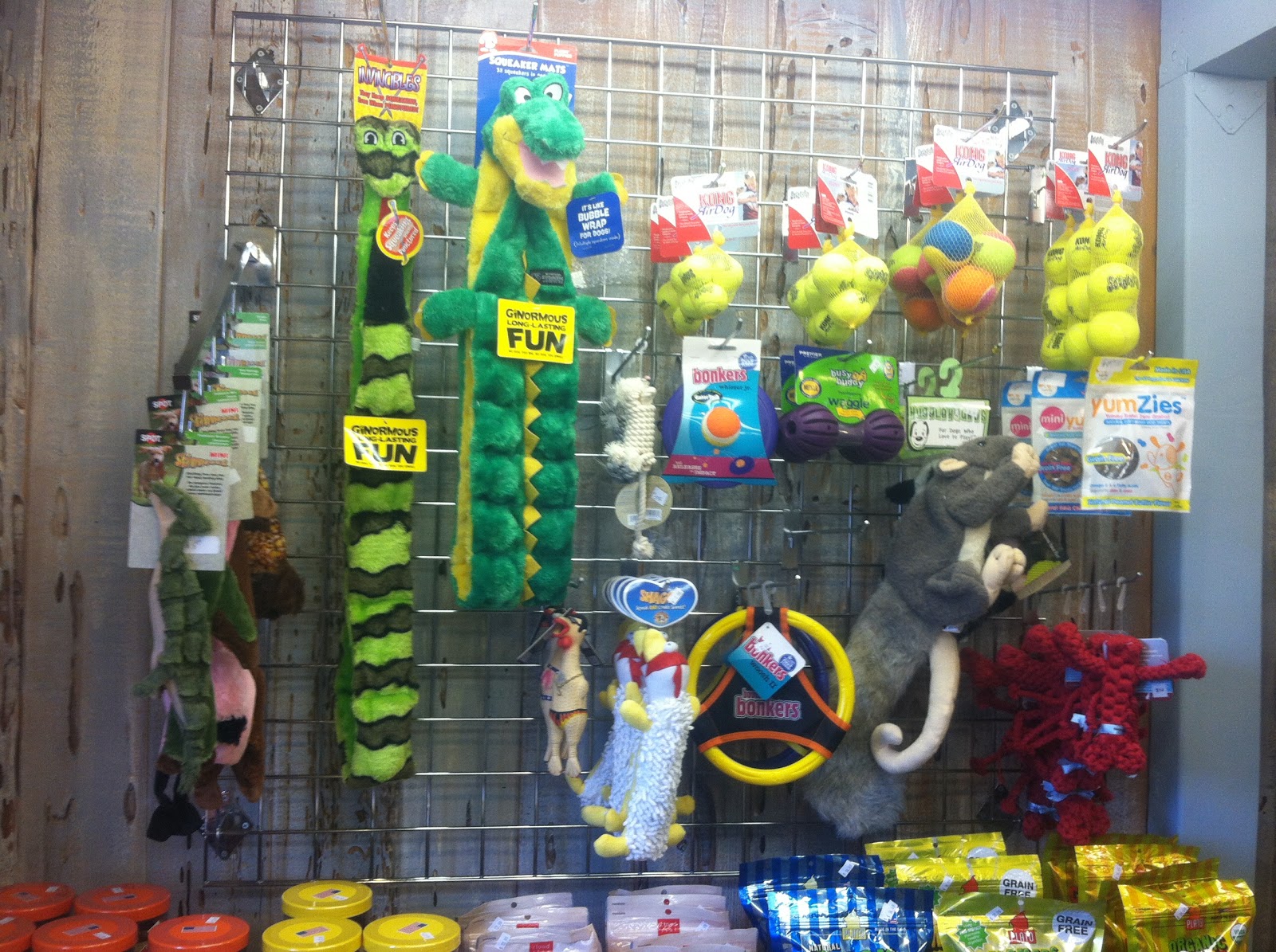 A Girl's Best Friend: Village Pet Supplies