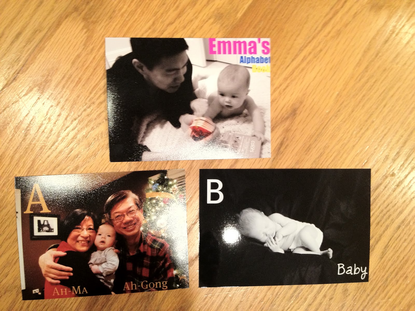 The Purple Martin: Emma's Alphabet Picture Book