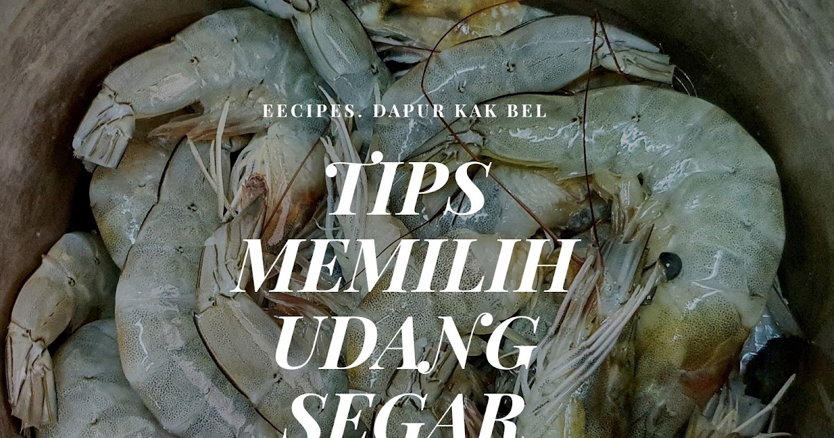 Tips Memilih Udang Segar - Ini Adalah Bellarina Natasya