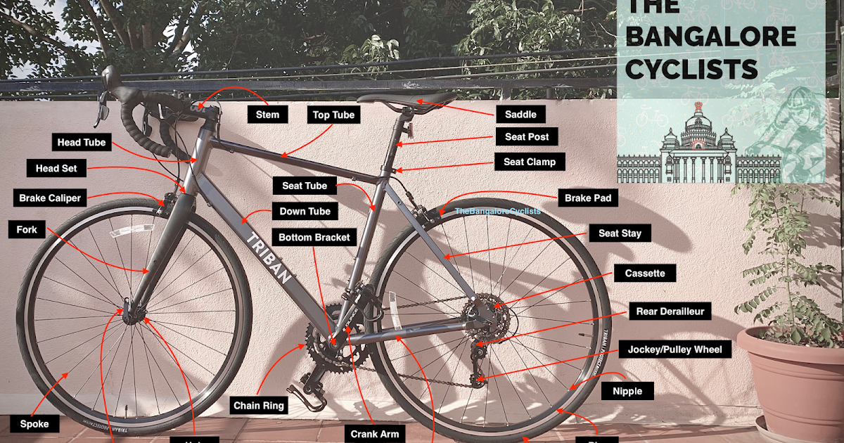 The Anatomy of a Cycle