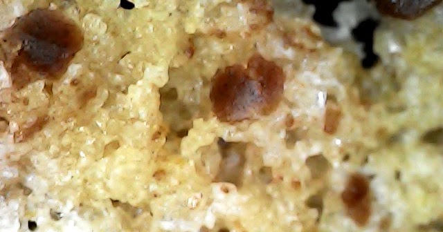 Ana Mardoll's Ramblings: Open Thread: Cookie via Microscope