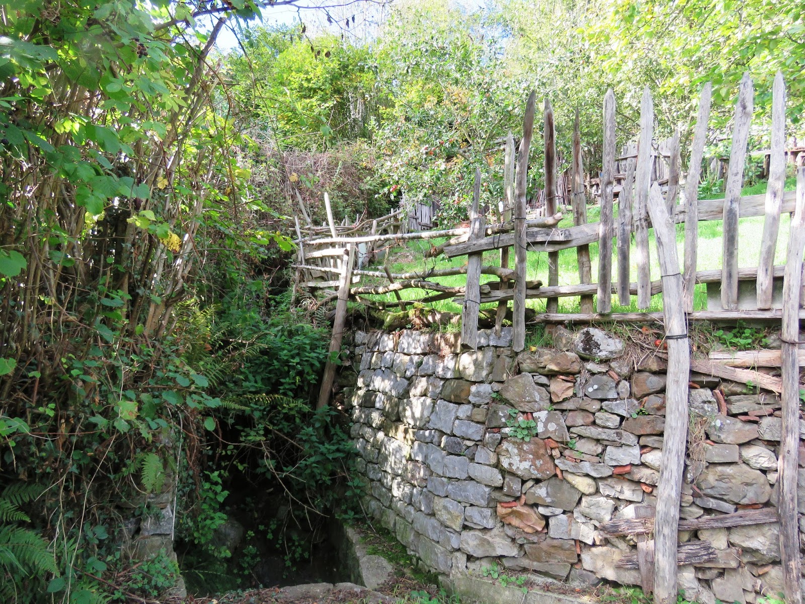 Rodiles (Quirós) -Senda del Oso de Ronderos-Rodiles-Santa Marina-Bárzana.