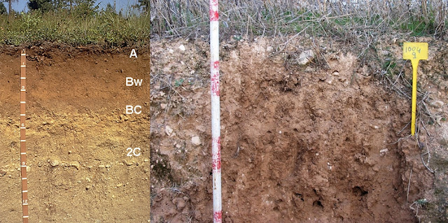 Jenis Tanah Vulkanik Indonesia: Regosol dan Andosol - Guru Geografi