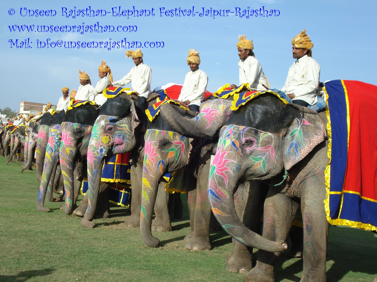 Unseen Rajasthan : India Travel -Elephant Festival - Jaipur - Rajasthan ...