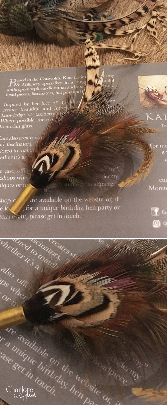 Kate Latimer: Taxidermy Fascinator & Gamebird pin - Charlotte in England
