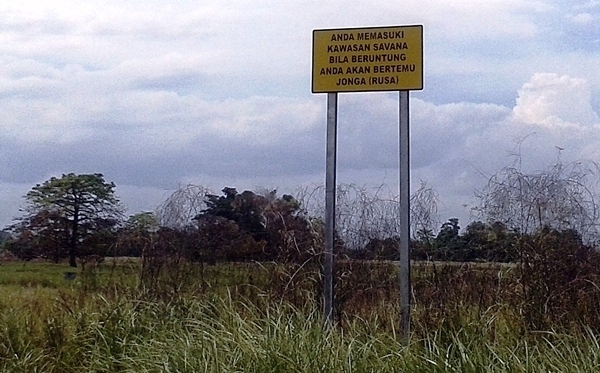 Wisata Alam Taman Nasional Rawa Aopa Watumohai Bombana | Aneka Wisata ...