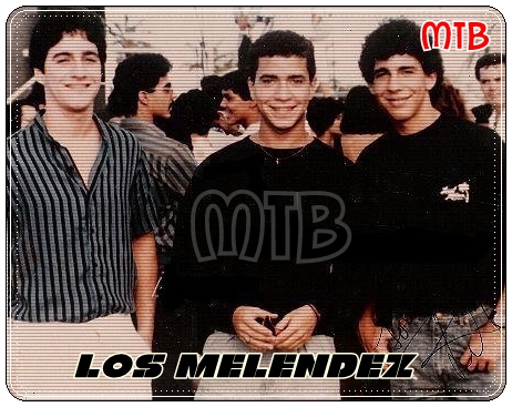 Menudomania Total: EX MENUDOS JUNTOS 9 LOS MELENDEZ