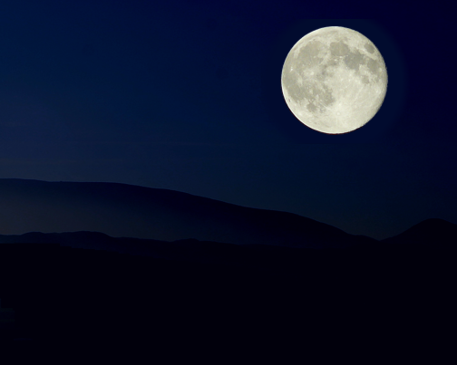 Beyond the Fields We Know: The Wolf Moon of January