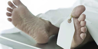 INPUT KNOWLEDGE to FUTURE: Autopsy Process stages