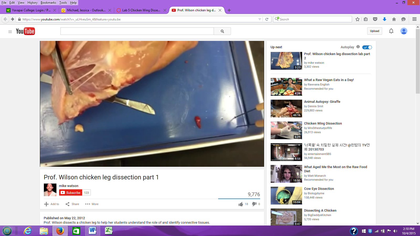 My Human Biology Blog: Chicken Leg Virtual Dissection Lab