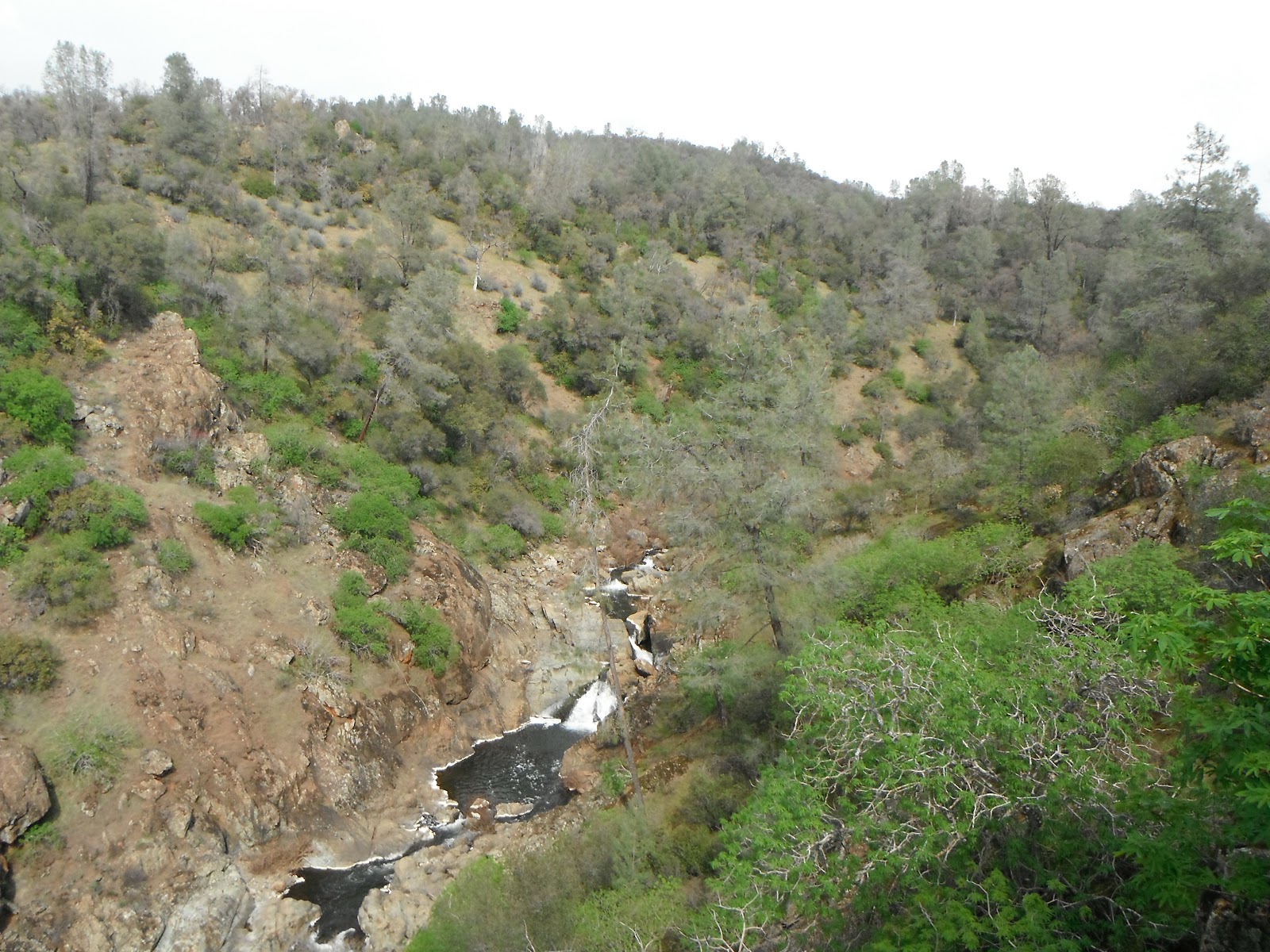 On Your Mark Adventures: Hidden Falls Loop Auburn, CA