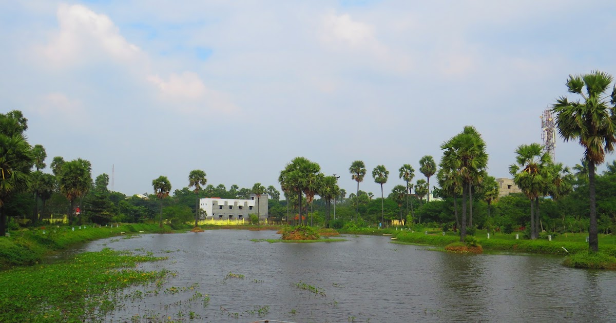 Madhavaram Horticulture Park Lake (Water bodies of Chennai - 64)
