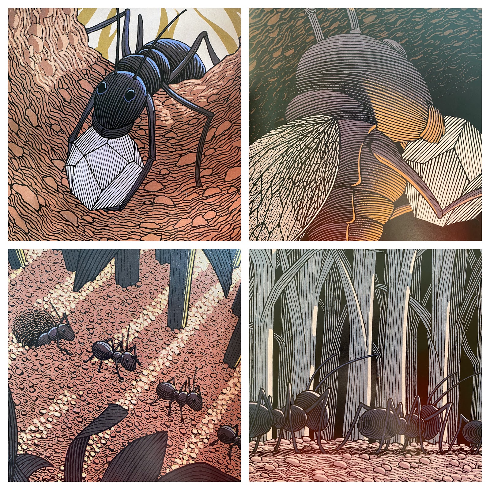 Chris Van Allsburg Two Bad Ants
