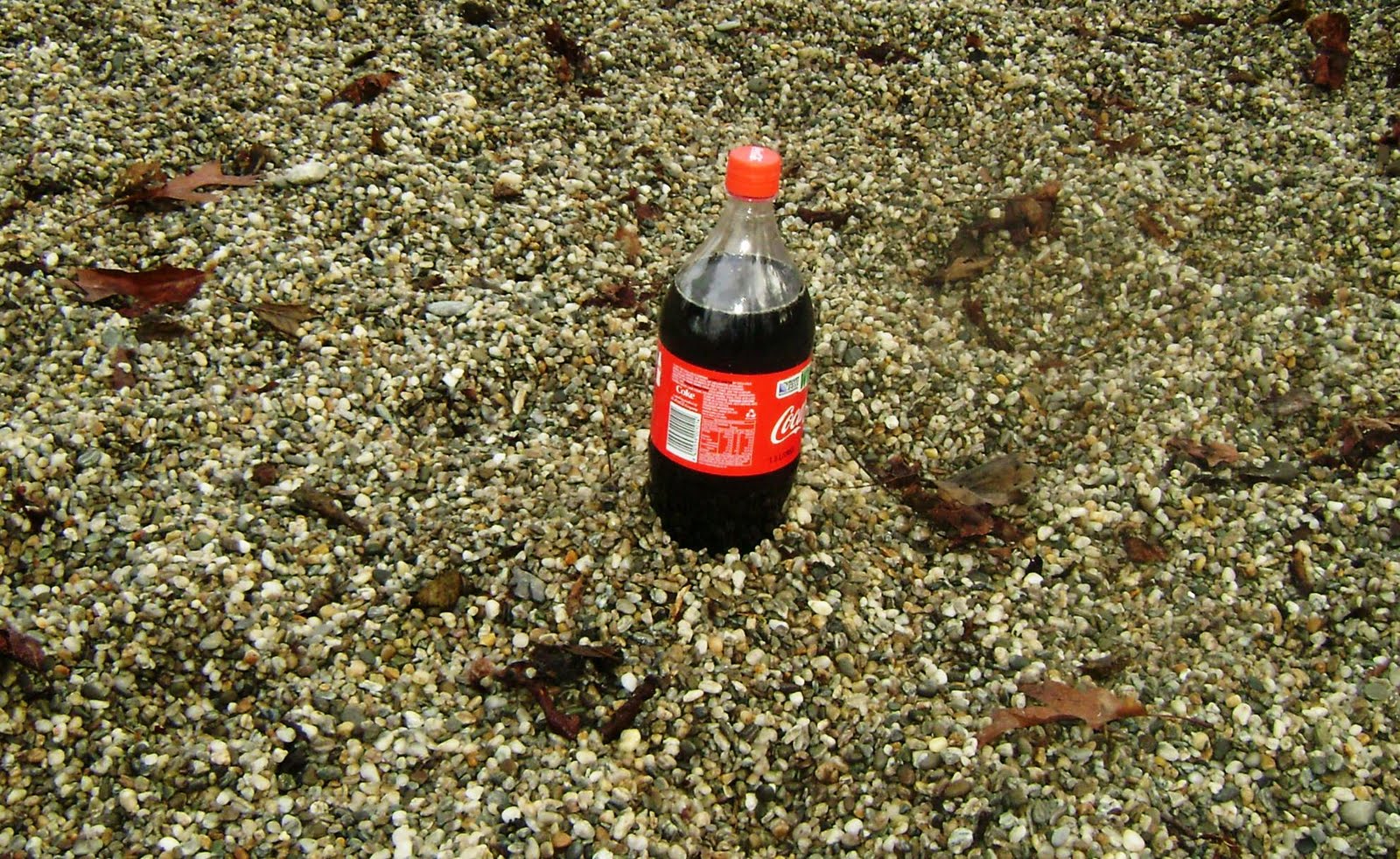 Room 4 Lawrence Area School 2011: Kitchen chemistry - mentos and coke ...