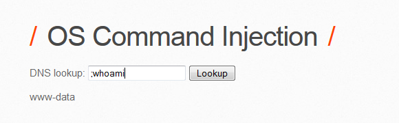 The Hackpot Blind Os Command Injection Attacks